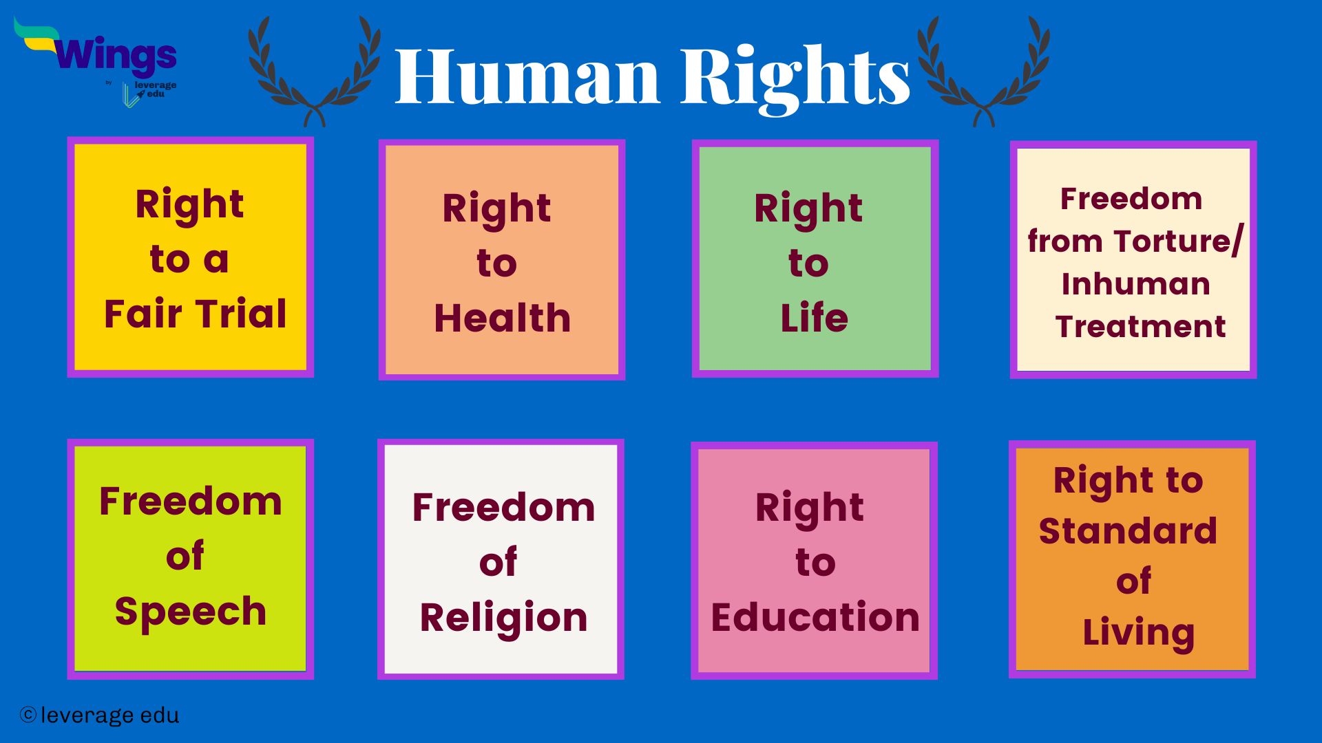 Essay on Human Rights- Sample Essays & Importance - Leverage Edu