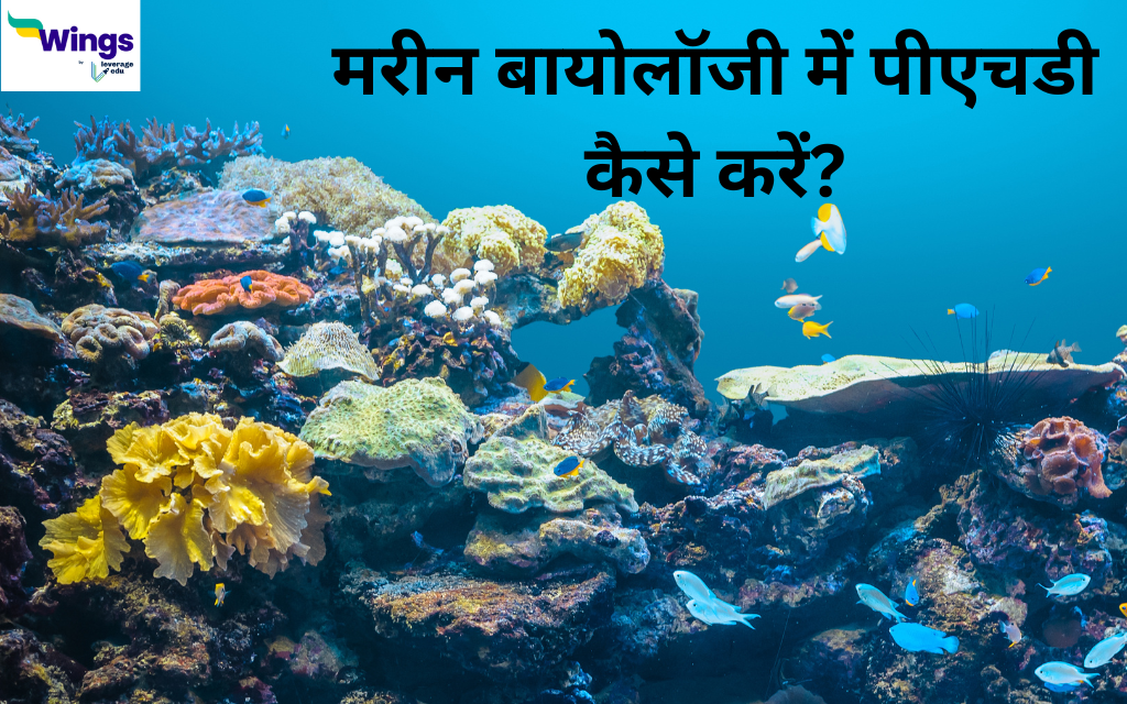 PhD In Marine Biology In Hindi Leverage Edu PhD In Marine Biology In Hindi Leverage Edu