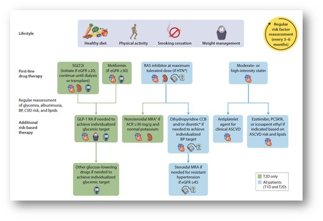 Standards of Care in Diabetes: ADA 2024 Updates