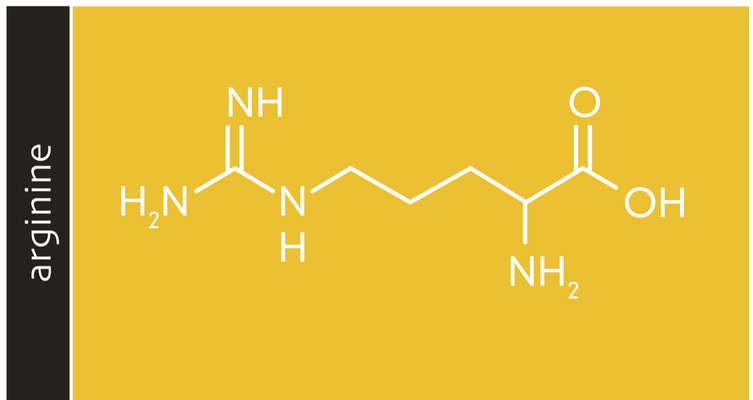 Oral arginine supplements found helpful for children suffering SCD pain