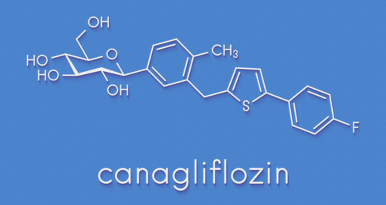 How canagliflozin affects metabolic parameters and glycemic control in