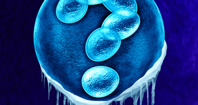 Frozen embryos as good as fresh ones in IVF pregnancies: Study