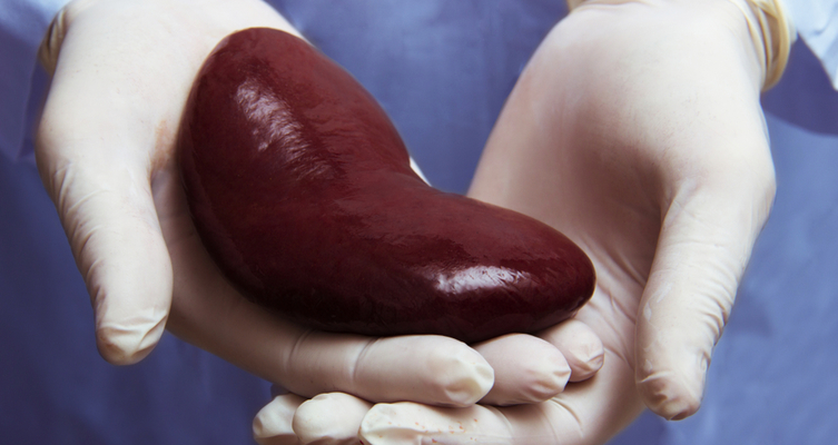 International kidney racket busted, 3 held