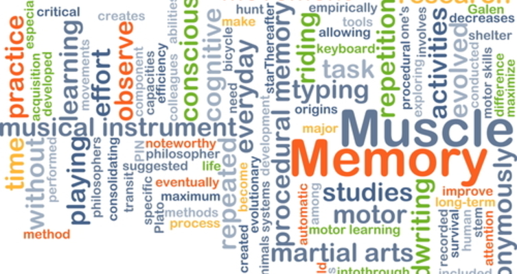 'Muscle memory' exists at DNA level: Study