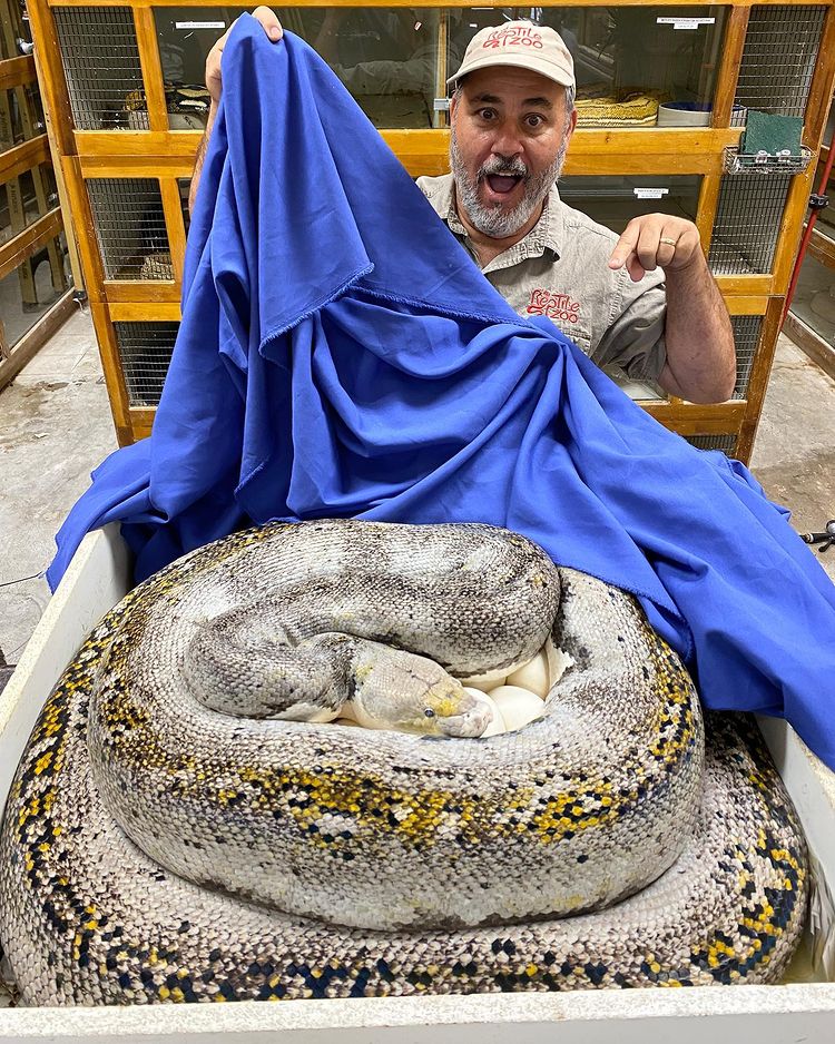 सैकड़ों सांपों से है इस शख्स की दोस्ती, Photos देखकर खड़े हो जाएंगे ...