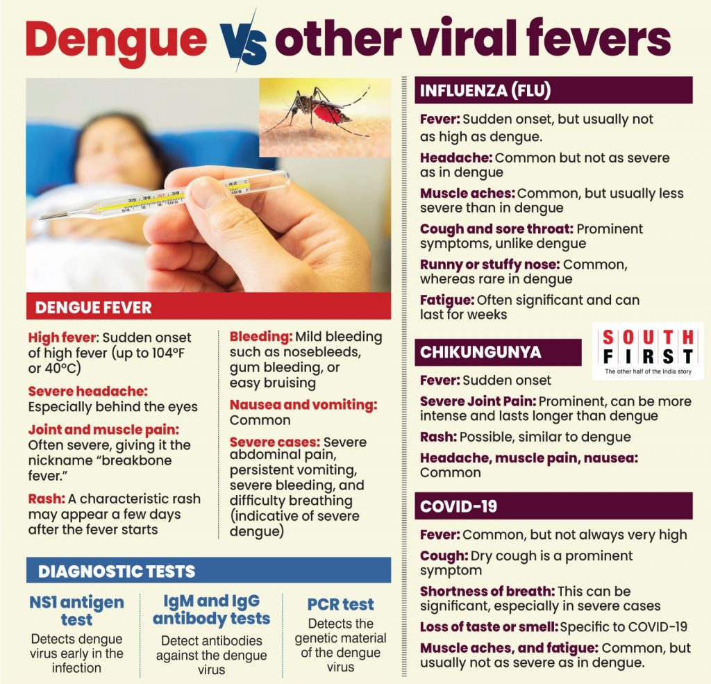 All about dengue: A guide to navigate through the viral disease - The ...