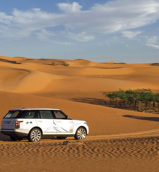 Platinum Conservation Drive & Breakfast at Al Maha Resort. Price from ...