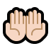 🤲🏻 Palms Up Together Emoji
