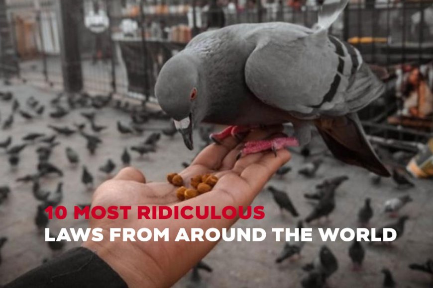 10 most ridiculous laws from around the world - Revealing Lies