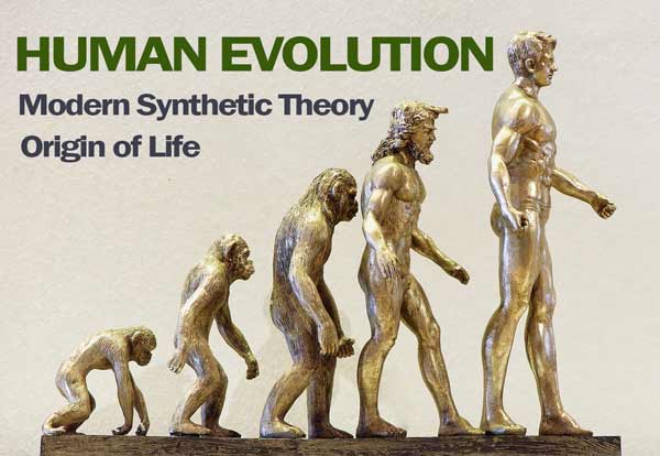 Theories of Evolution
