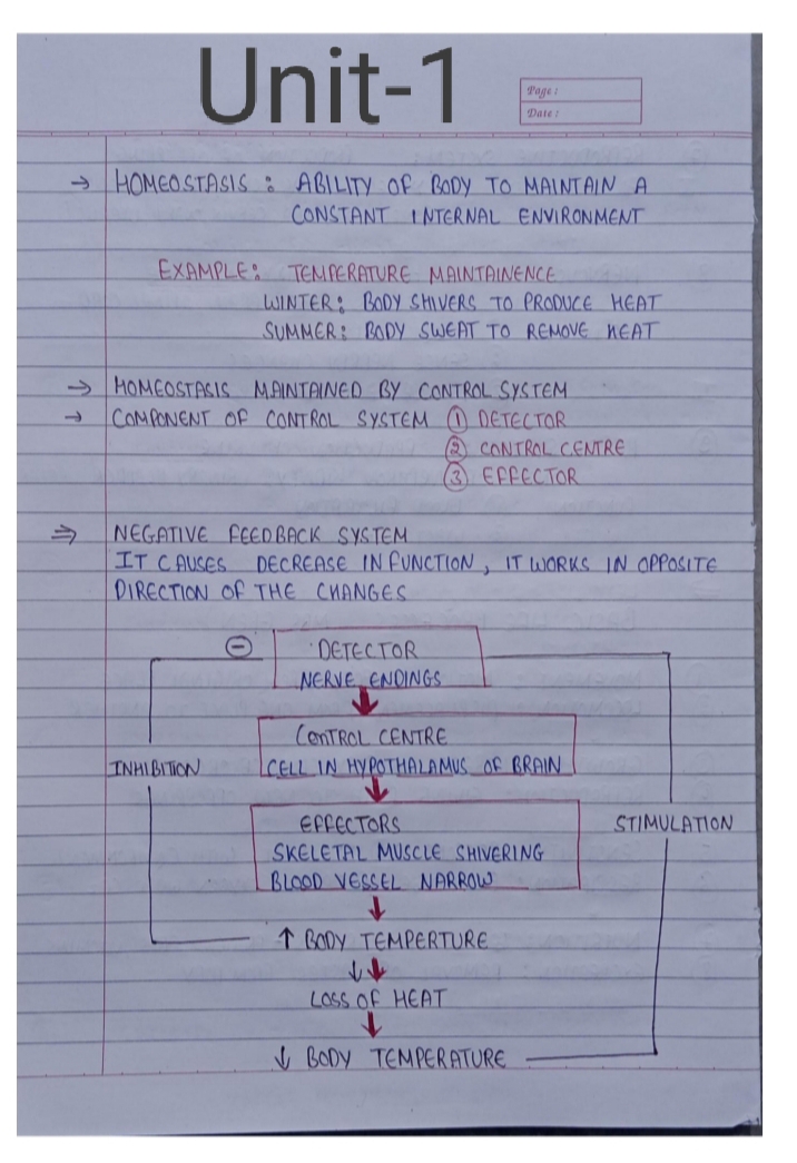 HAP Notes