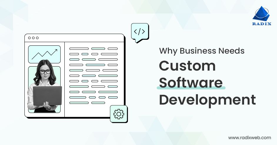 7 Reasons Your Business Need Custom Software Development