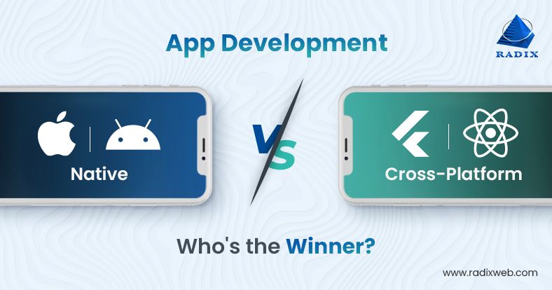 Native vs Cross Platform Development: What to Consider to Build Mobile App