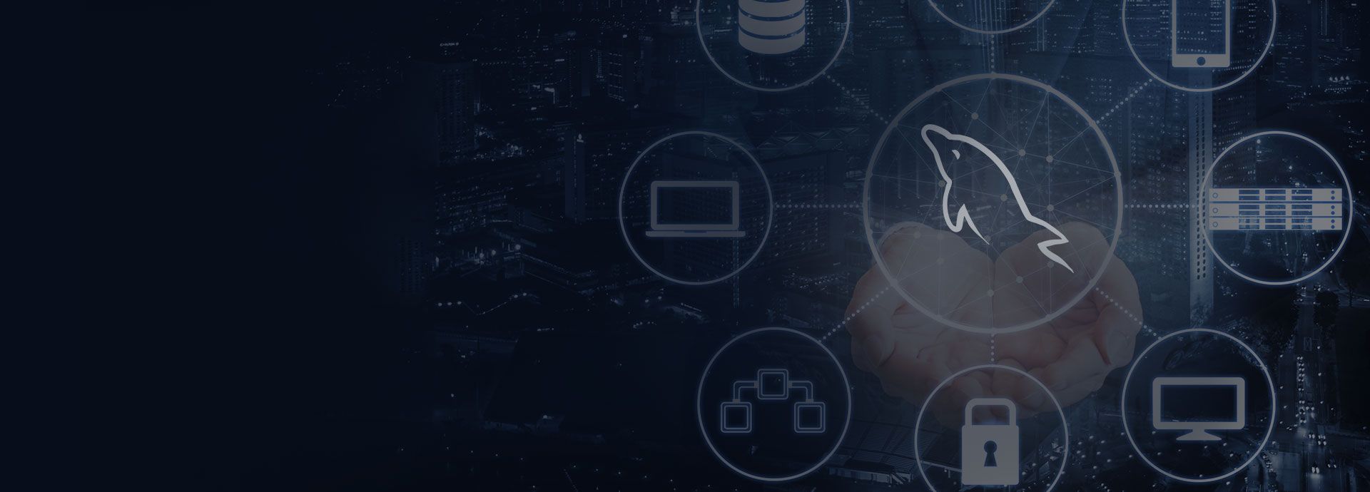 MySQL Database Development, Management and Consulting Services - Radixweb