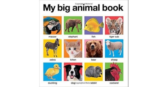 My Big Animal Book | Buy Tamil & English Books Online | CommonFolks