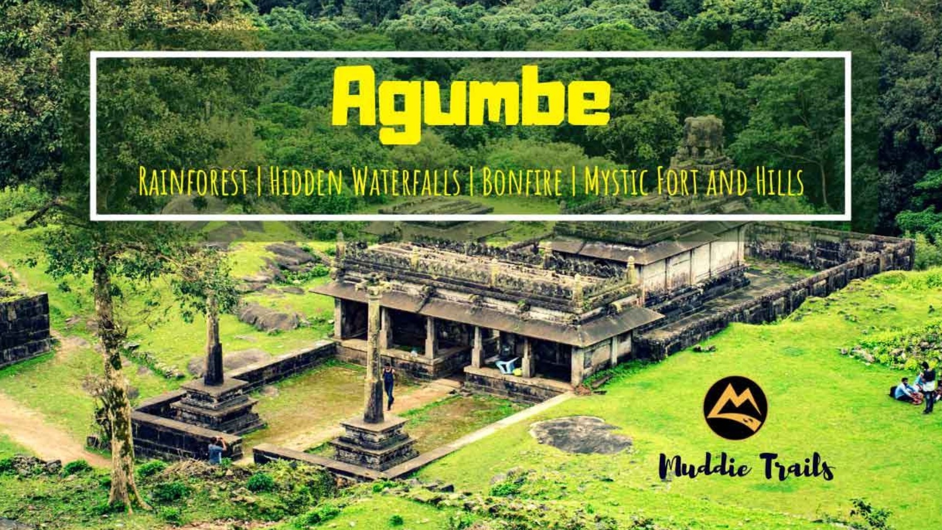 The Amazing Agumbe Rain Forest Experience - Muddie Trails Tickets by ...