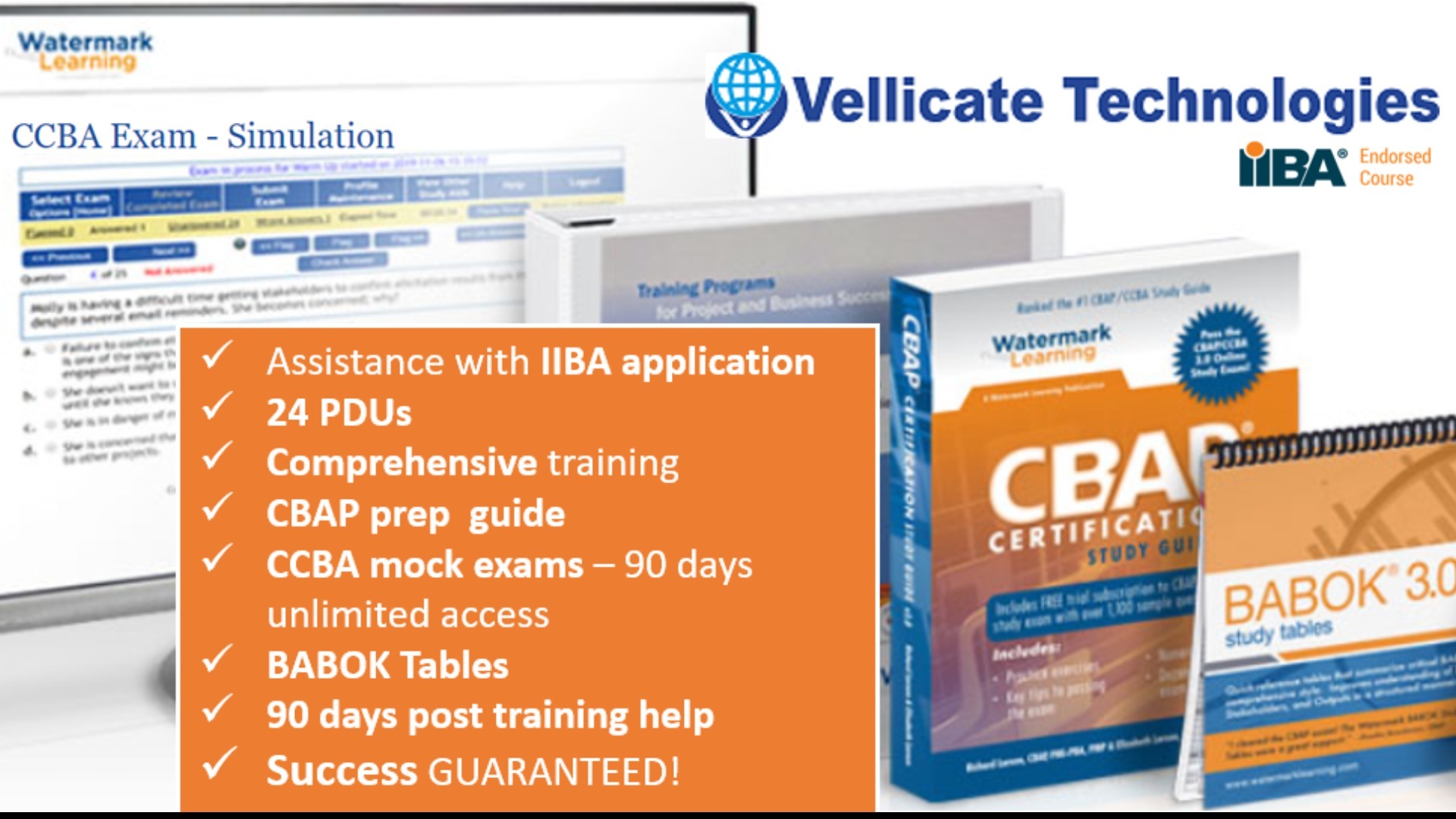 CCBA With Success Gurantee Instructor led Live Online Training August 