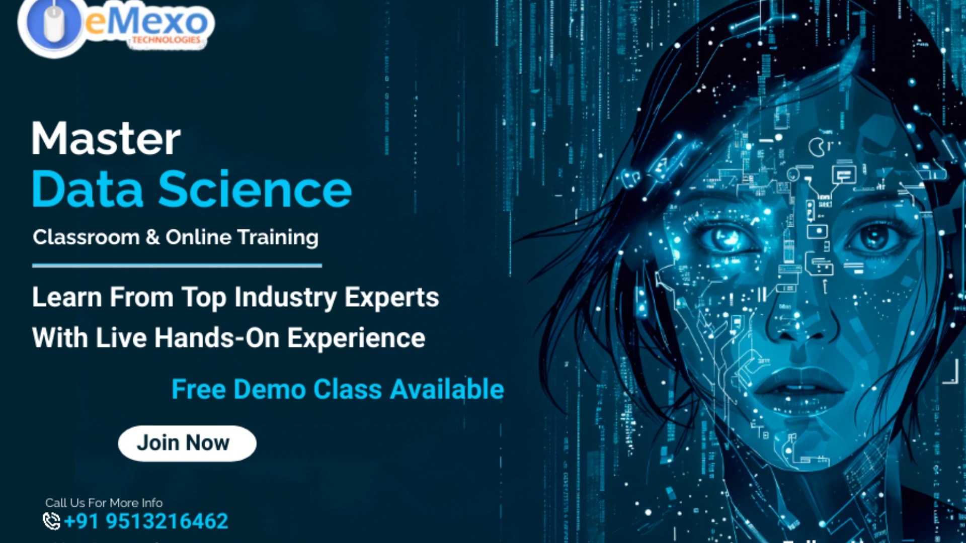Become a Data Science Expert: Master Program Certification at eMexo ...