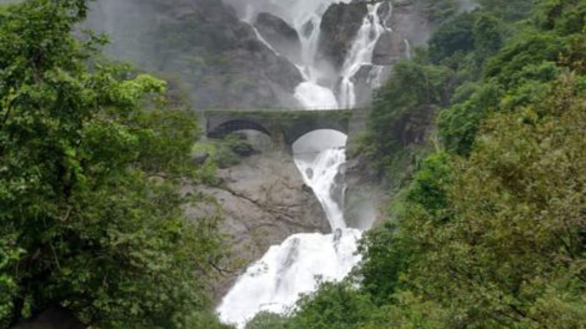 Go wild in Dandeli and Dudhsagar Waterfalls Trek By Namma Trip Tickets ...
