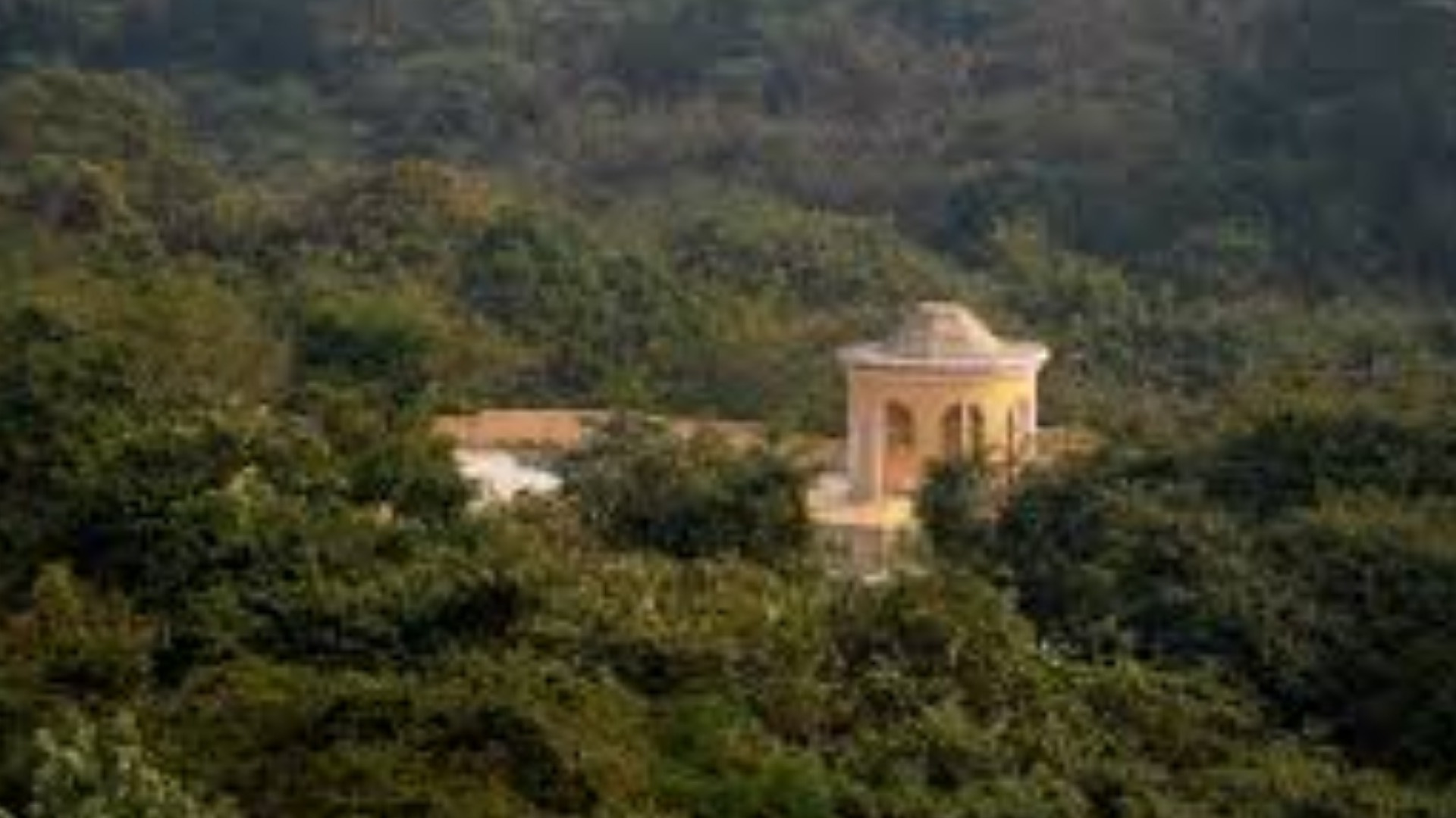 Nature Trail At BNHS Nature Reserve CEC Tickets By Mumbai Musafir 