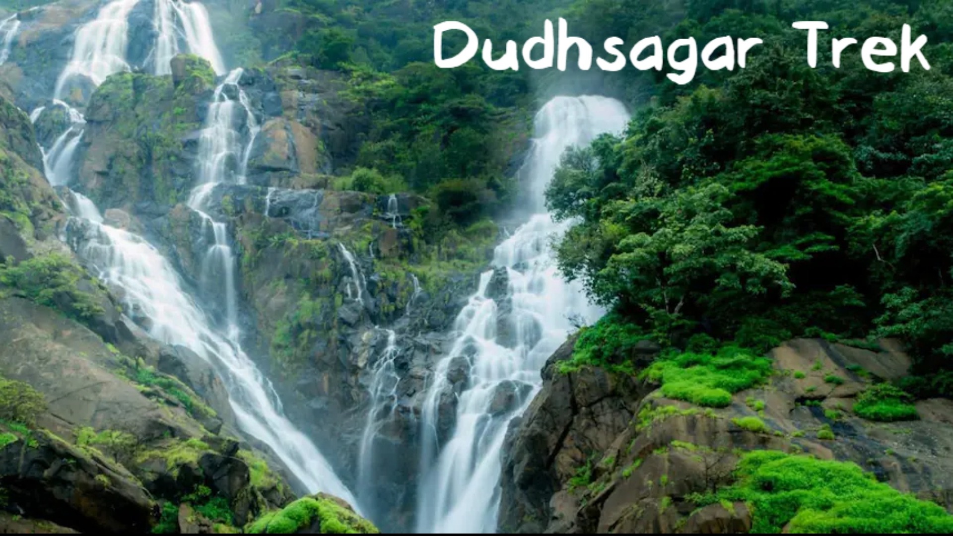 Dudhsagar Trek & Dandeli Rafting*- MYHIKES Tickets by myhikes, Friday ...
