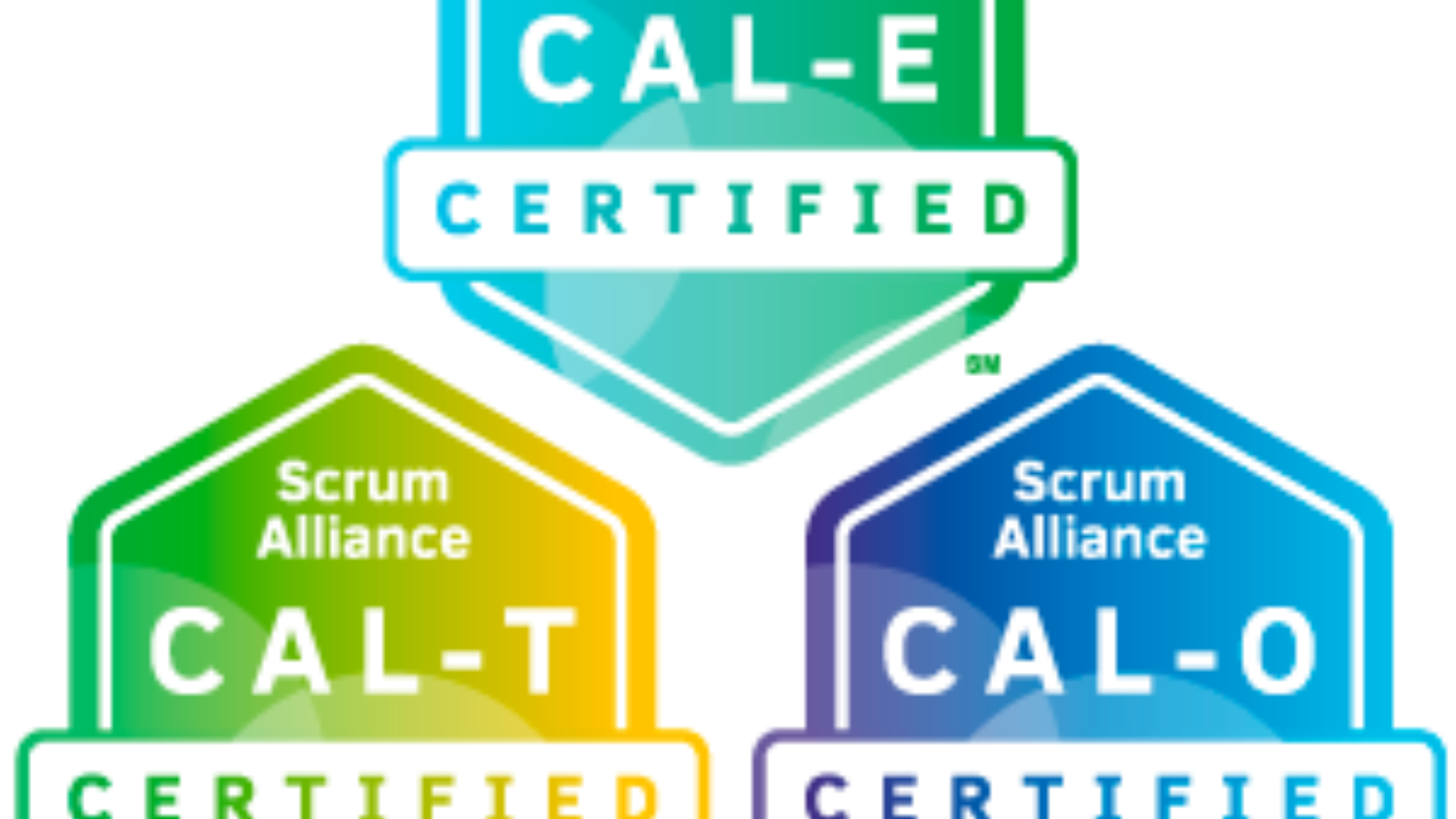G - CERTIFIED AGILE LEADERSHIP - COMBO (CAL-E + CAL-O+ CAL-T) Tickets ...