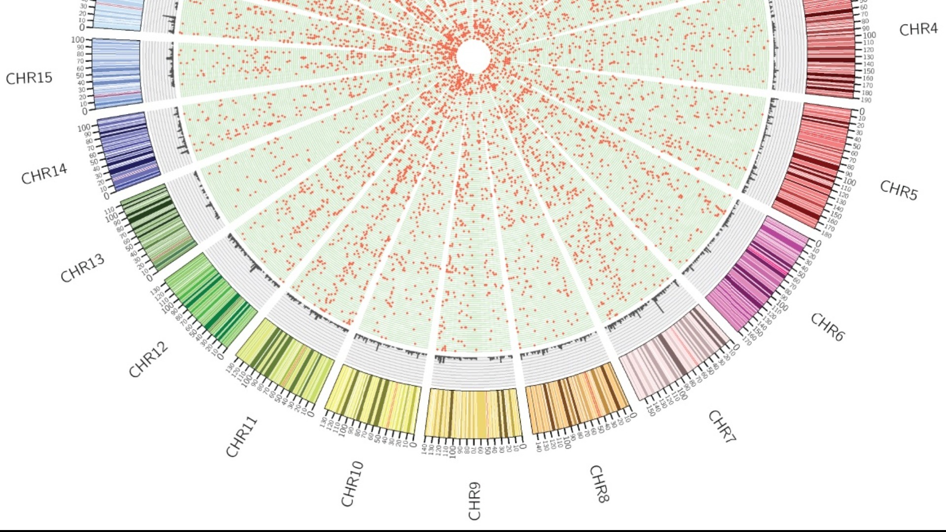 Genome Wide Association Studies and Analysis (GWAS) 3 Day Online ...