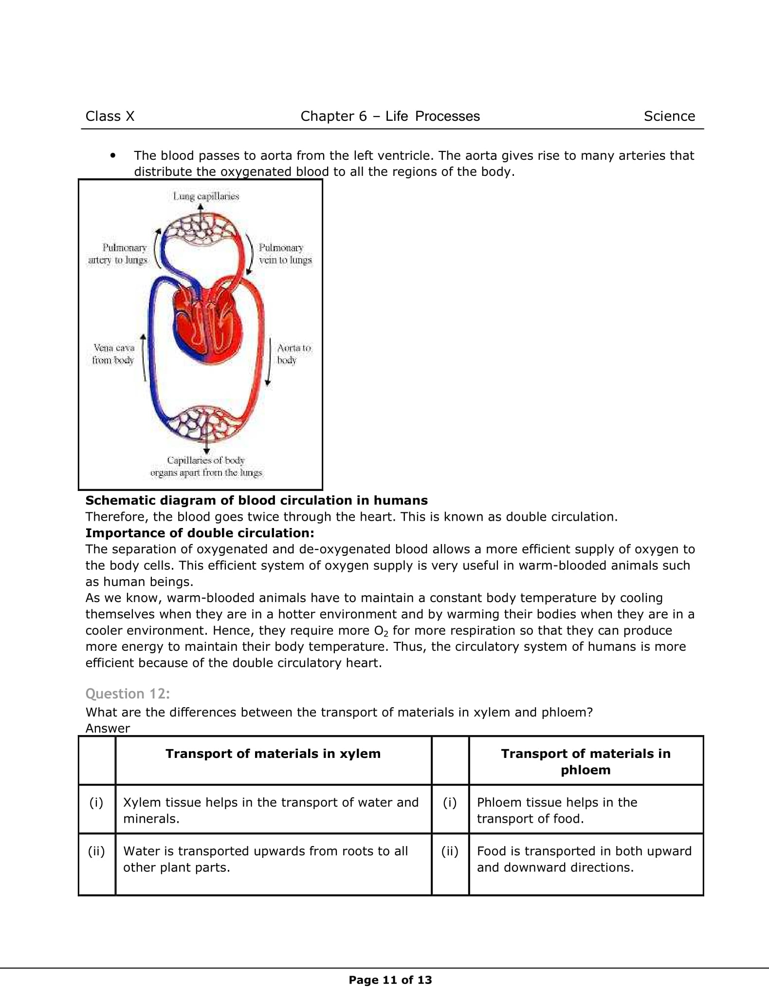 Ncert Solutions Class 10 Science Chapter Life Processes NCERT