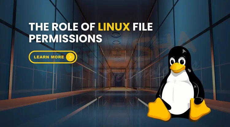 What is the role of Linux file permissions in cybersecurity? The Detailed Guide - Web Asha ...