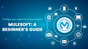 Things You Need to Know About Mulesoft: A Beginner's Guide