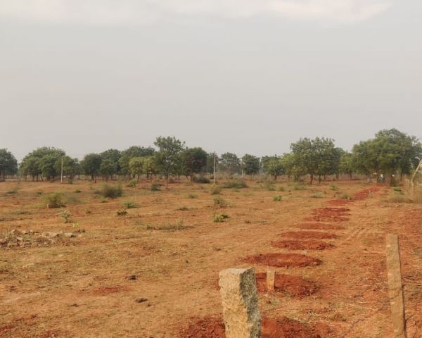 Plot/Land For Sale 30.3 Lakhs In Sparkle Residential Land for Sale ...
